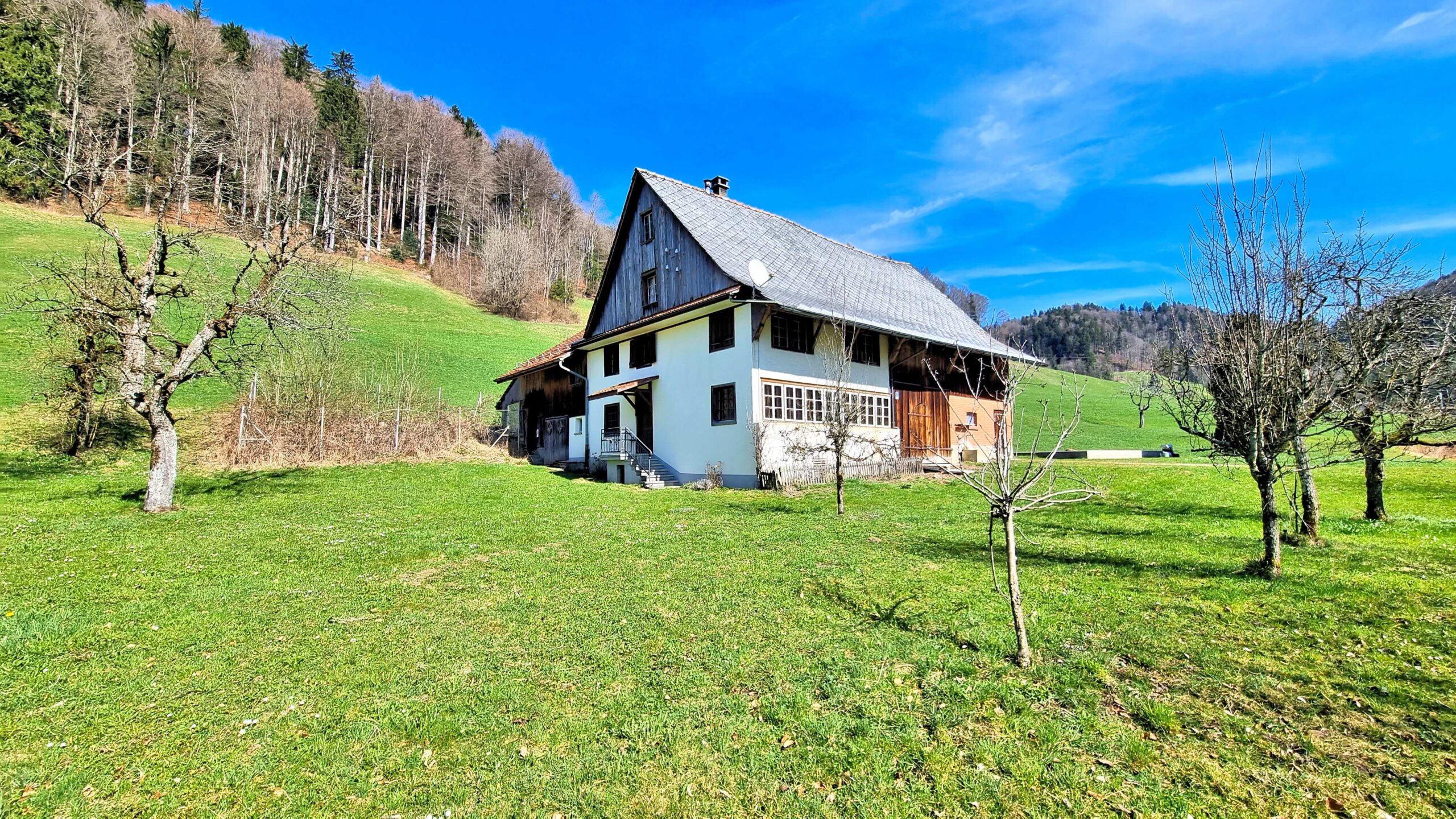 Wohnen auf dem Land - Renovationsbedürftiges Bauernhaus mit grosser ...